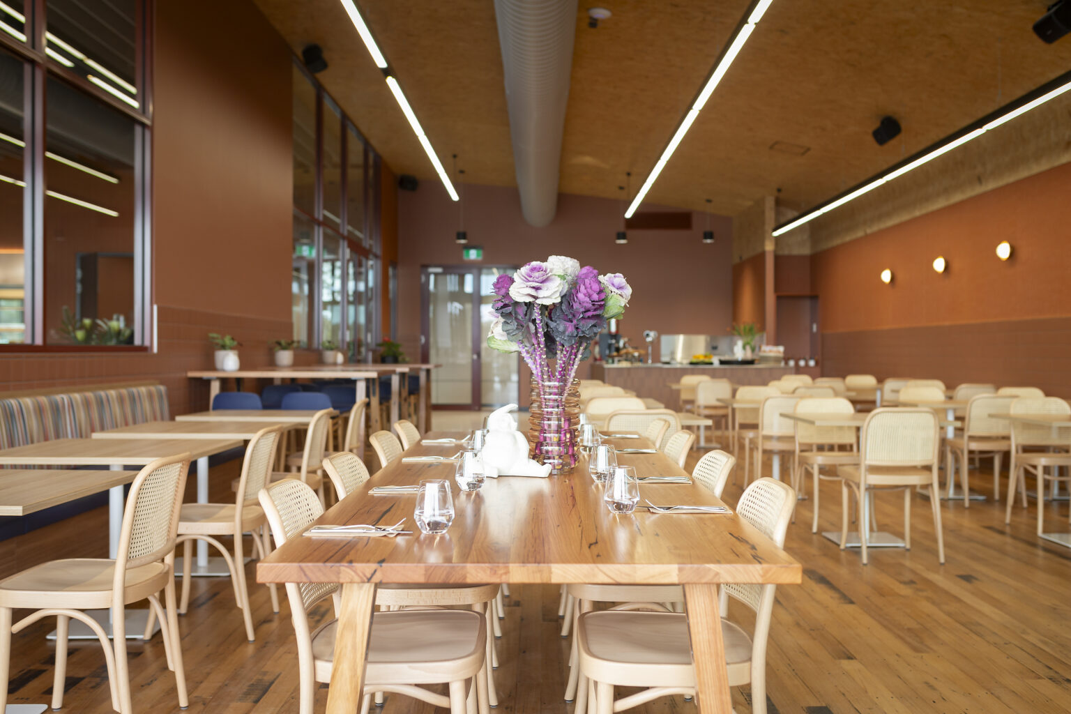 Café Sosta - Red Shed